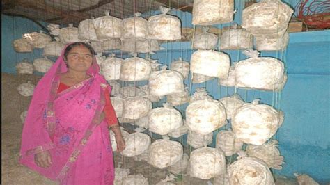 यहां घर के अंदर होती है मशरूम की खेती खरीदारी करने के लिए कार से आते