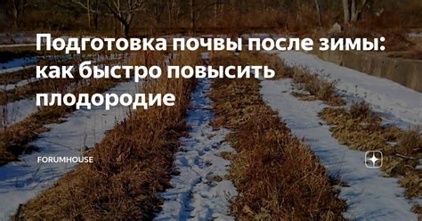 Подготовка почвы после зимы как быстро повысить плодородие