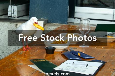 Chip Sequencing Photos Download The Best Free Chip Sequencing Stock