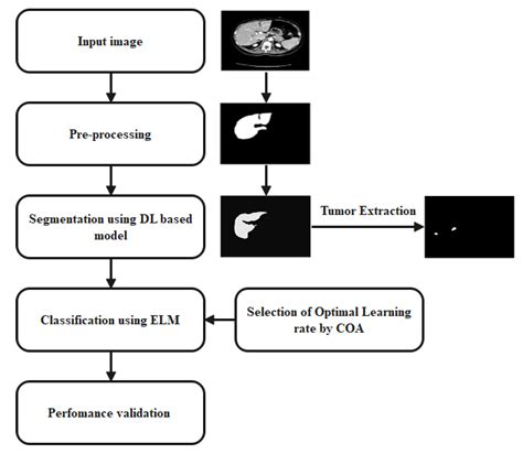 Biomedicines Free Full Text Detection Of Liver Tumour Using Deep