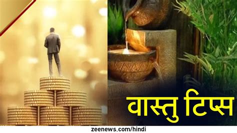 Vastu Plant घर में इस पौधे को लगाने से हो जाते हैं वारे के न्यारे