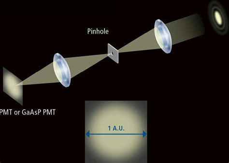 AX AX R with NSPARC AX AX R with NSPARC 共聚焦和多光子显微镜 显微镜产品 尼康精机上海有限公司