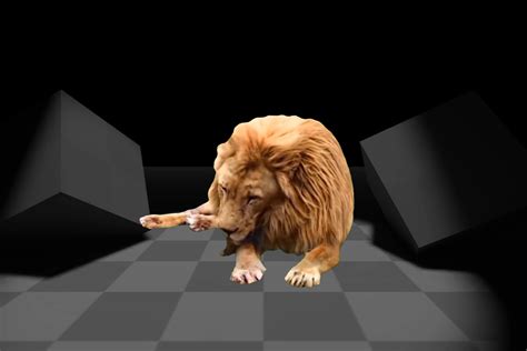 Chroma Key For Video