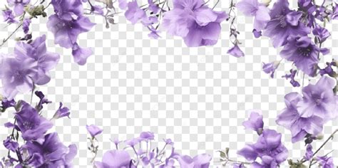 Purple Lavender Background Purple Lavender Lavender Background Png