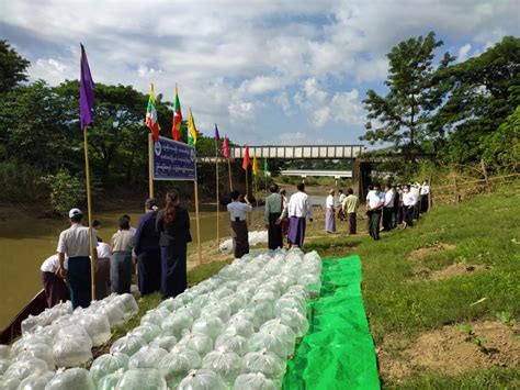 လက်ပံတန်းတွင် သဘာဝရေပြင်အတွင်း ငါးမျိုးစိုက်ထည့်ခြင်း အခမ်းအနားကျင်းပ Information And Public