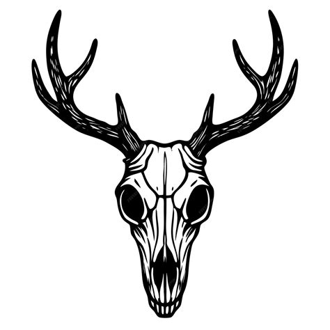 Premium Vector Hand Drawn Vintage Deer Skull Vector Illustration