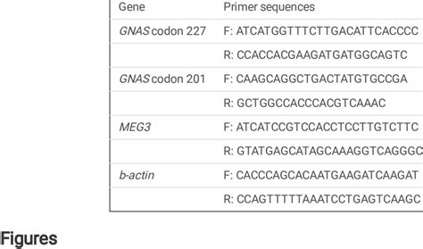 The Primer Sequences Of Pcr And Dna Sequencing Download Scientific