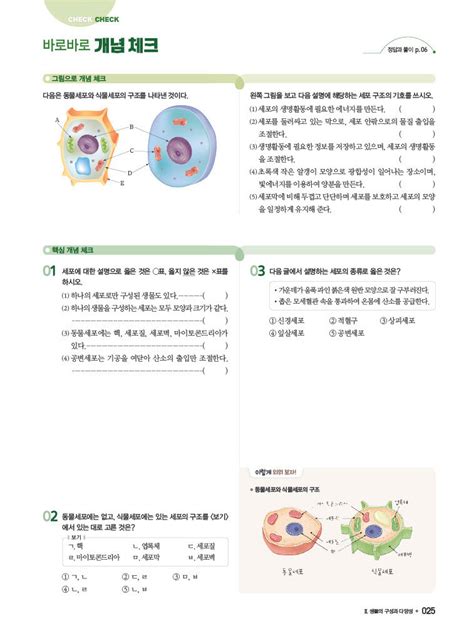알라딘 미리보기 체크체크 중학 과학 1 1 2026년용