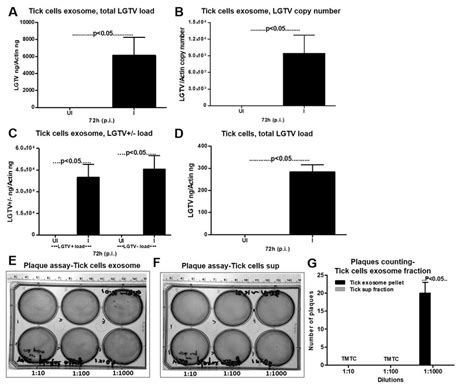 Arthropod Exosomes Contain Infectious Lgtv Rna And Exosomes Form