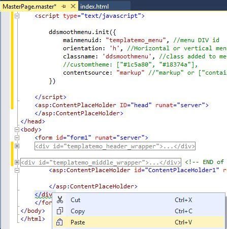 How To Create ASP Net WebSite With CSS Template