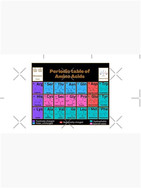 Periodic Table Of Amino Acids Bucket Hat For Sale By Sciencestores