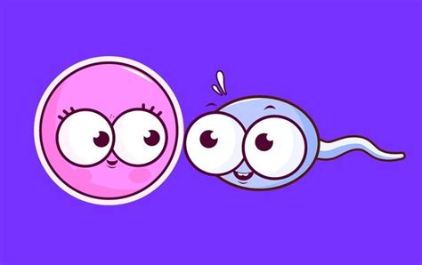 ¿sabías Que El óvulo Elige El Espermatozoide Y No Al Revés Sperm