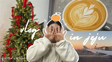 Vlog 🏝️ 귤수저에게 빼앗겨 버린 브이로그 서울 출장이라 쓰고 여행이라고 읽는 제주도 카페 공사 일기 창업 일기 ☕️커피 교육 데이식스 자켓 개봉기