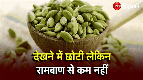 Green Cardomom Health Benefits How It Useful In Sex Life And Ilayachi