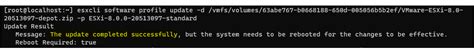 Manual Upgrade ESXi From 6 7 To 8 0 Via Esxcli King S Blog
