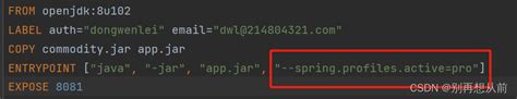 使用docker容器部署springbootvue项目教程如何将springboot和vue项目整合到一个docker容器中启动 Csdn博客