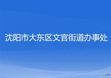 沈阳市大东区文官街道办事处政务服务网地址电话领导政务服务