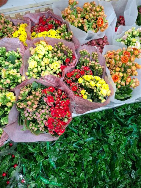 Нандин Цэцэг Нандин Цэцэг Хүргэлт Tsetsegt Mendchilgee