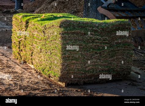 Fresh Sod Grass Squares Stacked On Pallet Ready For Landscape