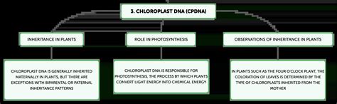 Non Nuclear Inheritance Algor Cards