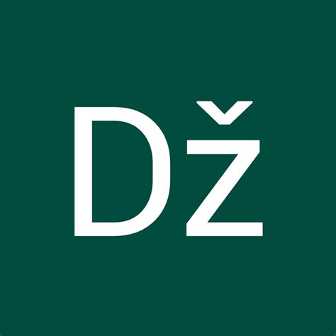 Dževad Bektašević Youtube