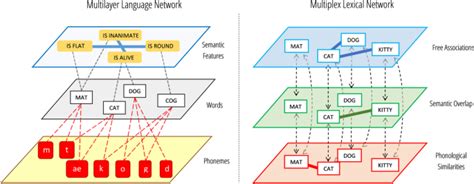 Cognitive modelling of concepts in the mental lexicon with multilayer ...