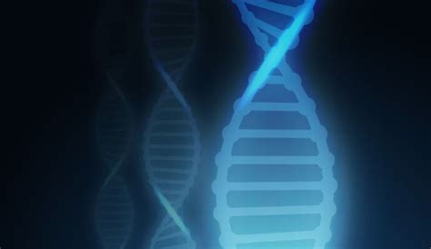 How Do Gene Variants Contribute To Evolution Live100life