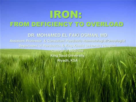 Ppt Iron From Deficiency To Overload Powerpoint Presentation Free