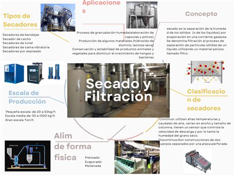 Mapa Mental Profesional Colorido 10 1 Pdf Filtración