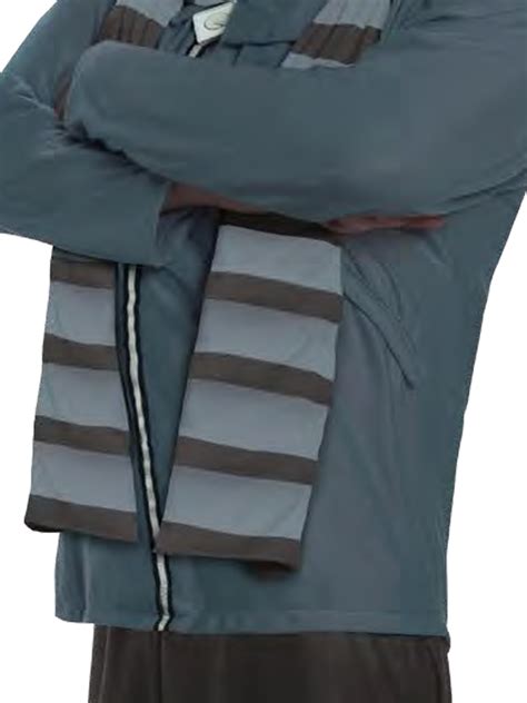 Gru Despicable Me Adult Costume Sunbury Costumes