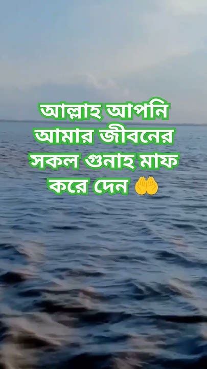 আল্লাহ আপনি আমার জীবনের সকল গুনাহ মাফ করে দেন 🤲mizanurrahmanazahari