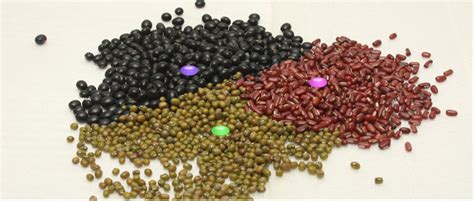 2 1 最近邻规则分类k Nearest Neighborknn算法cover And Hart Csdn博客