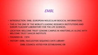 Embl Clustalw PPT