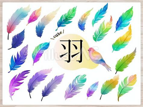 フリーイラストカラフルな鳥の羽セットイラスト No 24086034無料イラスト フリー素材ならイラストAC