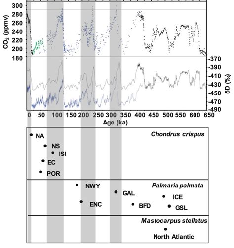 5 Expansion Times Estimated From Extended Bayesian Skyline Plots