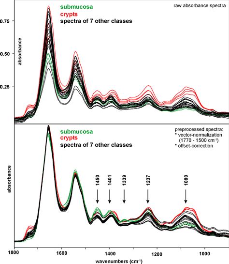 Example Of Spectral Preprocessing For Classifcation Analysis Of Tissue Download Scientific