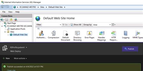 Publish Web App From Visual Studio To IIS Using Web Deploy DEV Community