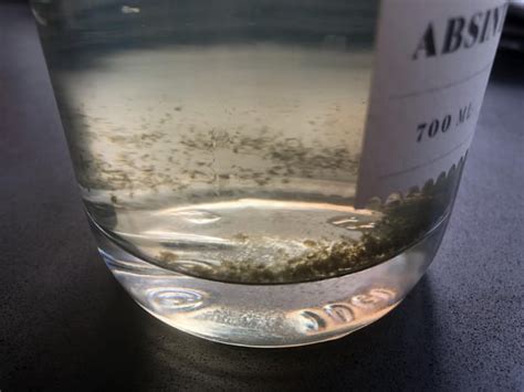 Precipitate In Absinthe Rabsinthe