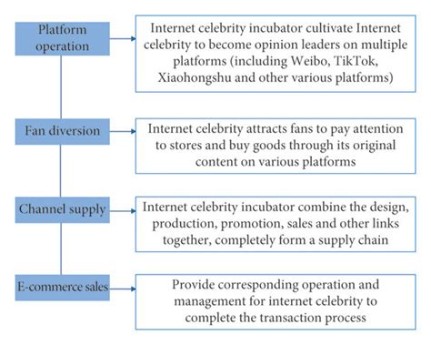 The Consumption Behavior Process Of Internet Celebrity Social E