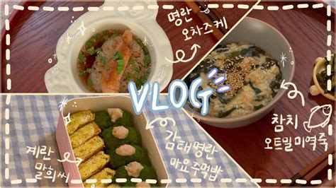 Vlog 🍱 직장인 도시락싸기 절약정신 투철한 집밥해먹기 고물가시대 살아남기💸 틸라피아유린기 명란오차즈케 오트밀참치미역죽 감태명란마요주먹밥 샐러드🥗