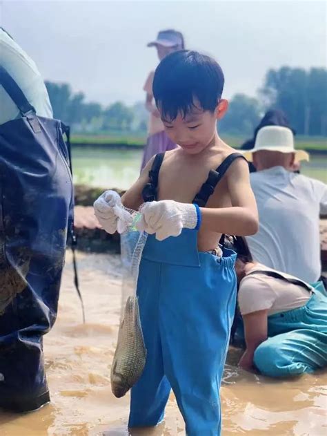玉米迷宫来寻宝，农事体验享中秋！御稻原乡秋收季9月10日正式开始！ 吃喝玩乐 海淀北部便民平台