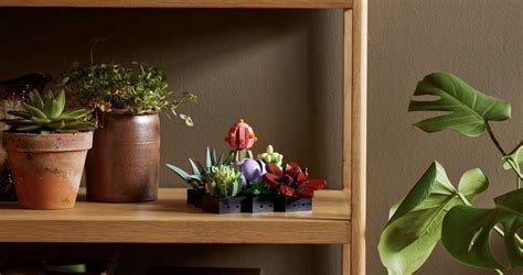 LEGO 10309 多肉植物 樂高藝術系列必買站樂高盒組 蝦皮購物