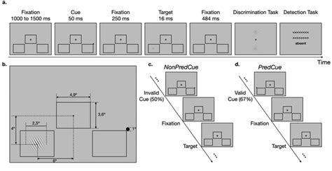 A Schematic Representation Of The Sequence Of Events In An Invalid Cue