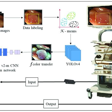 Nbi Simulated Image Enhancement System Workflow The Polyp Images Are