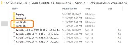 Sap Crystal Reports Runtime Engine For Net Framework What Is It