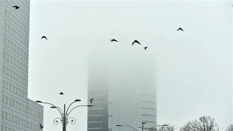 B Alertă METEO Cod galben de ceață în județele de lângă București Ilfov Giurgiu