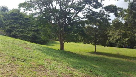 Lote premium en venta frente a carretera 27 ubicación estratégica