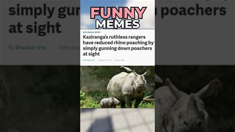 Funny Memes Youtube