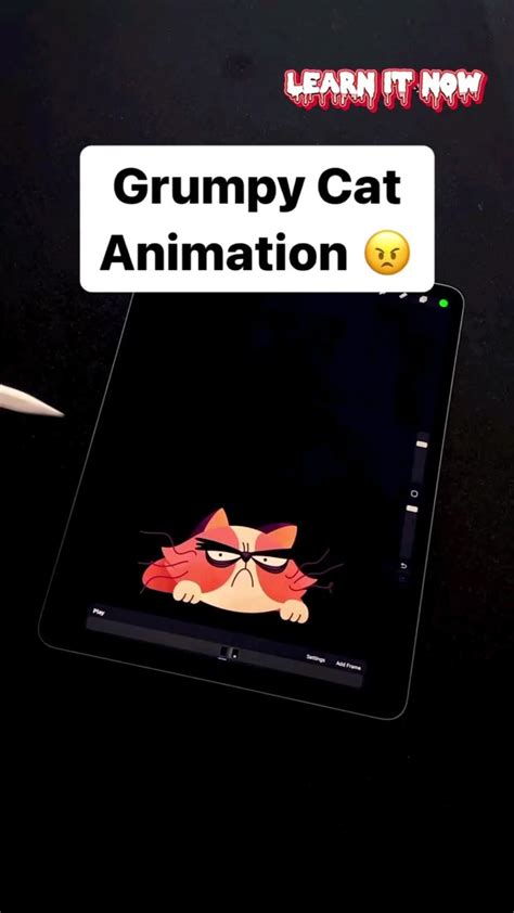 Procreate Tutorial Grumpy Cat Animation Digital Art Tutorial