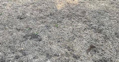 Lawn Toronto Canada Album On Imgur